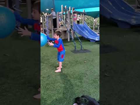 Playground Ball Fun