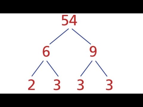 Factor Tree Of 54|Prime Factorization Of 54