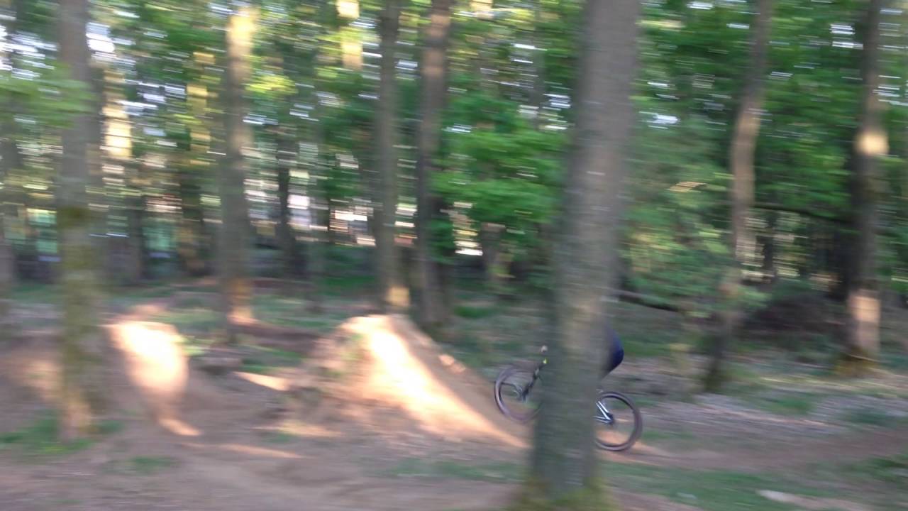 IMG 18331