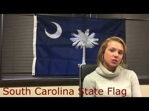 South Carolina State Flag History
