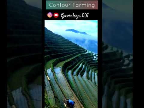 Contour Farming🌻🌾🚜 #shorts #Agriculture