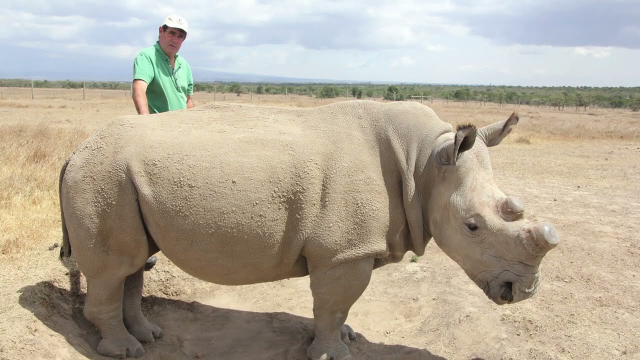 Meet Fourth Secret Heroes of Africa Hero, Hamish Currie.
