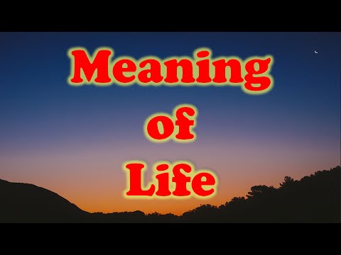 The Meaning of Life Quotes