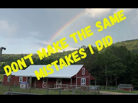 Small Farm Finances Part 1 of 3: My Story and Advice