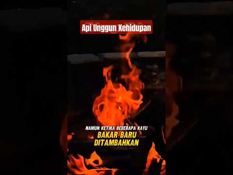 Api Unggun Hidup dan Kehidupan