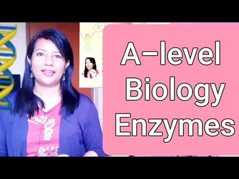 A-level Biology / Enzymes// EducatorSharmin