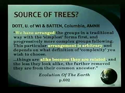 where is the evidence for evolution in the fossil record?? 2-7
