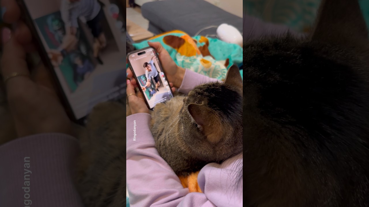 This trend is SOOOOO crazy!😹💕| stable diffusion #shorts