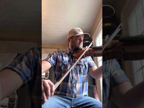 Fiddler’s Dream 5-String by Martin Sheridan Violin Fiddle | Reverb