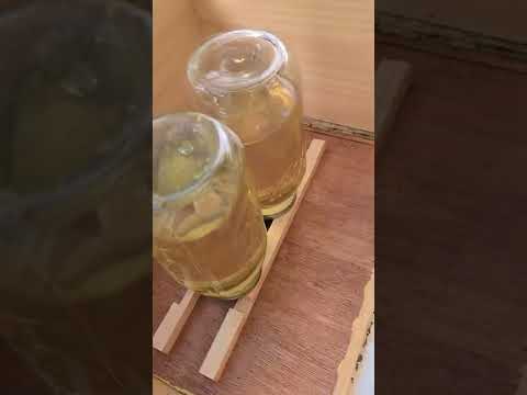 Cheap and Easy Way to Feed Honey Bees (Apis mellifera)!