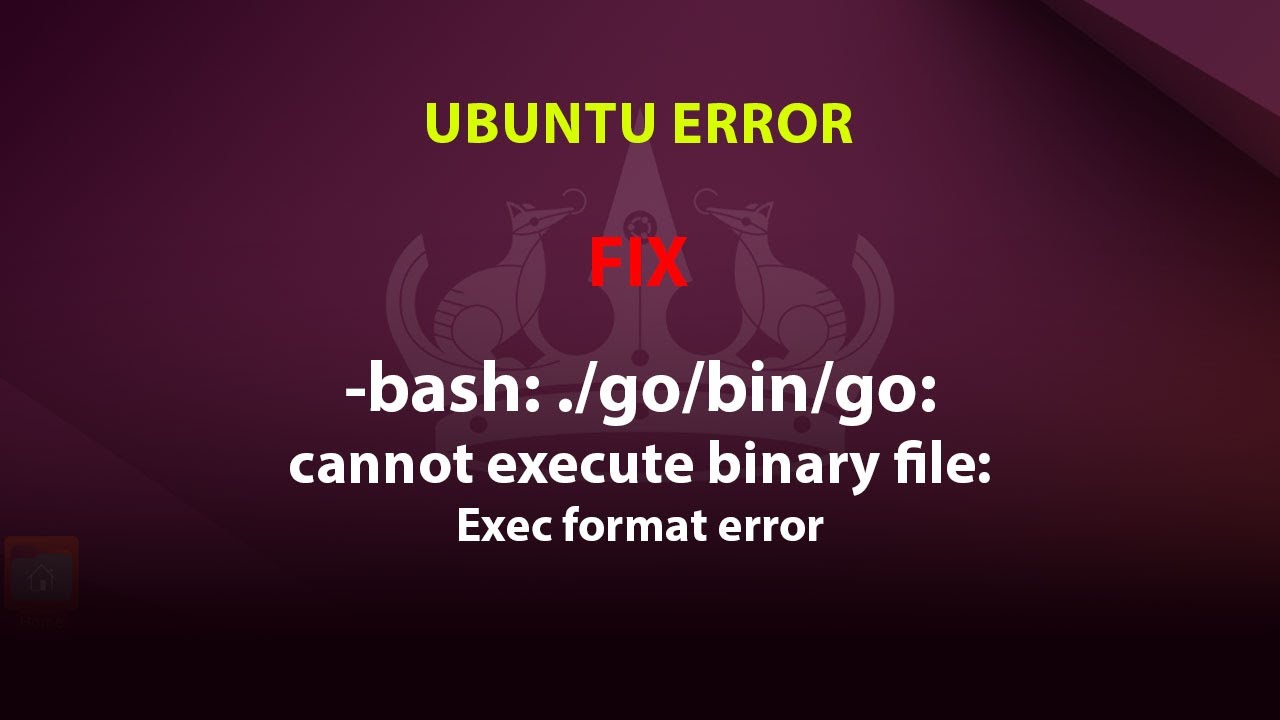 UBUNTU FIX: bash: ./go/bin/go: cannot execute binary file: Exec format error