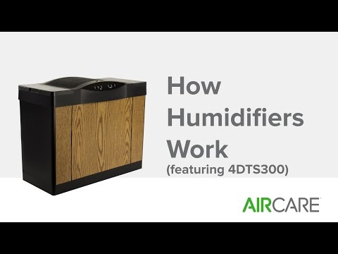 How Humidifiers Work (featuring 4DTS300)