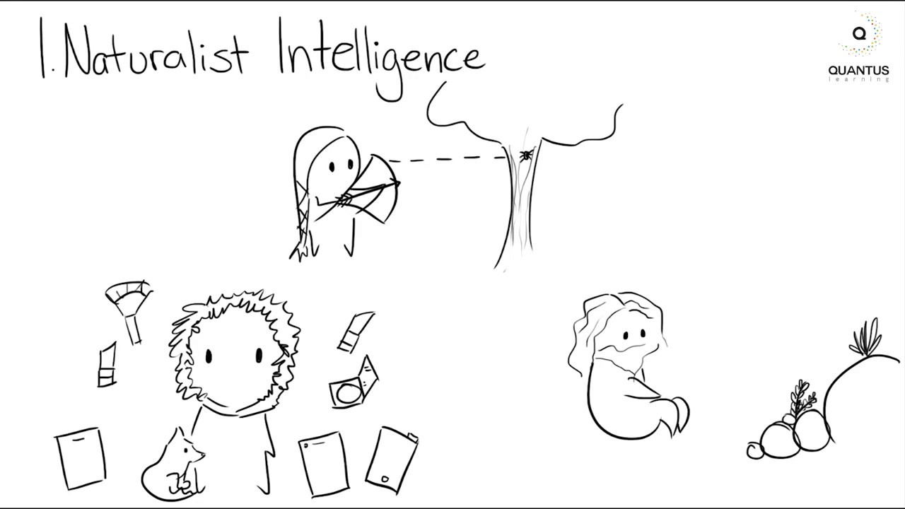 Every Child is Intelligent. What are Multiple Intelligences?