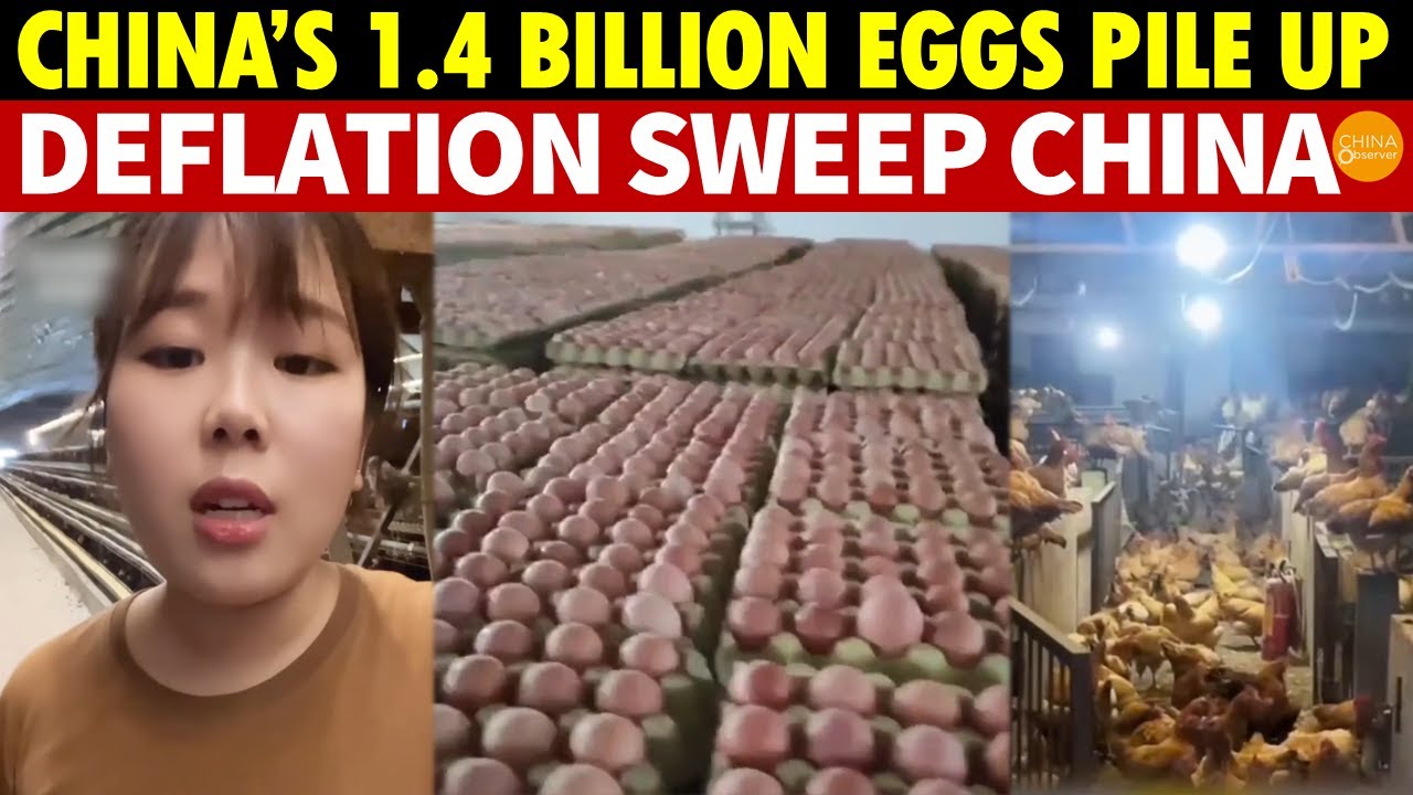 China’s 1.4 Billion Eggs Pile Up, Prices Crash—Internal Competition and Deflation Sweep China ...