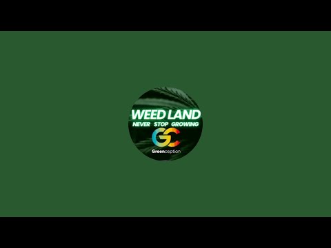Mary Jane Berlin 2025 Live . Tag 1