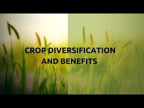 Crop diversification and it's benefits
