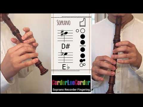[Soprano Recorder Fingering Chart] EVERY NOTES!!!