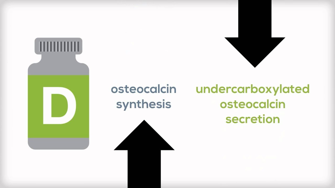 HealthKey.tv | Bone Health | Vitamin D2 vs D3
