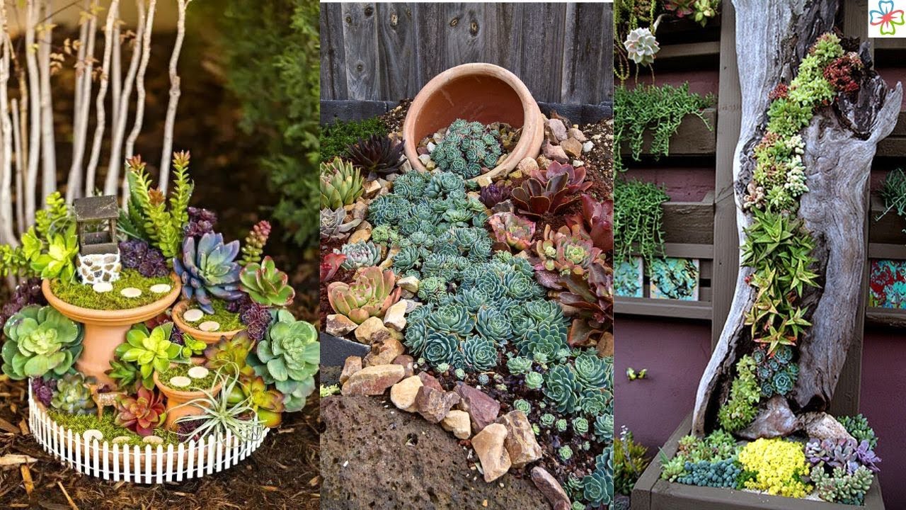 23 Awesome Succulent Porch Garden Ideas to Boost Curb Appeal
