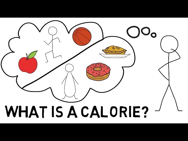 Understanding Calories: The Energy Units That Fuel Our Lives | Galaxy