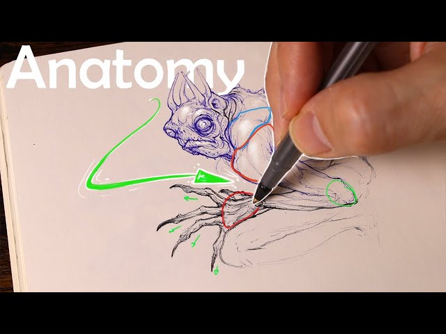 Mastering Character Design: A Detailed Approach to Anatomy | Galaxy