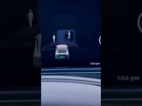 Teslas can SEE ghosts π¨