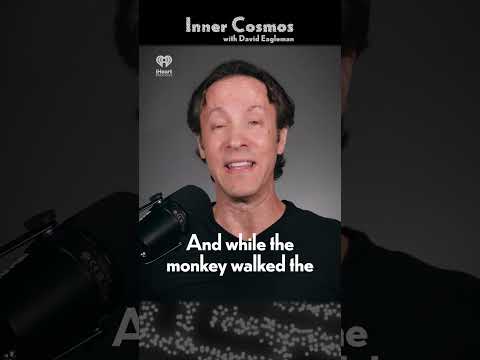Monkey Avatar | INNER COSMOS WITH DAVID EAGLEMAN #shorts