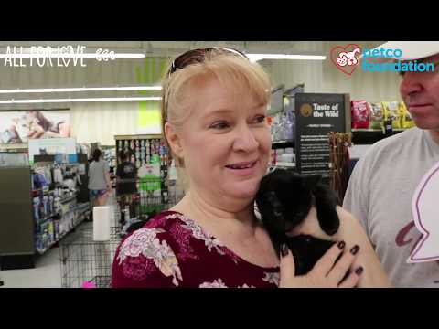 Ebony was adopted at a Petco store