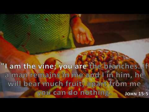 John 15:5, Holy Bible, NIV