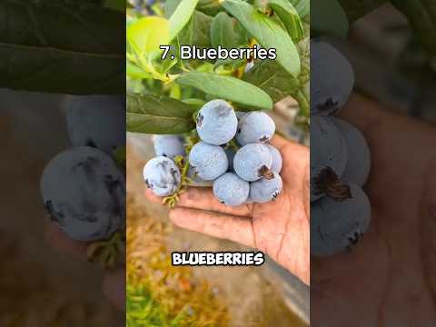 Top 7 Fruits That Sharpen Your Memory (Youβll Never Guess #1)