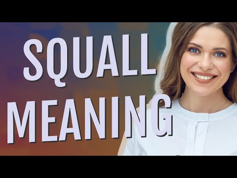 Squall | meaning of Squall