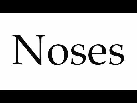 How to Pronounce Noses