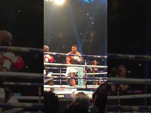 Anthony Joshua v Carlos Takam