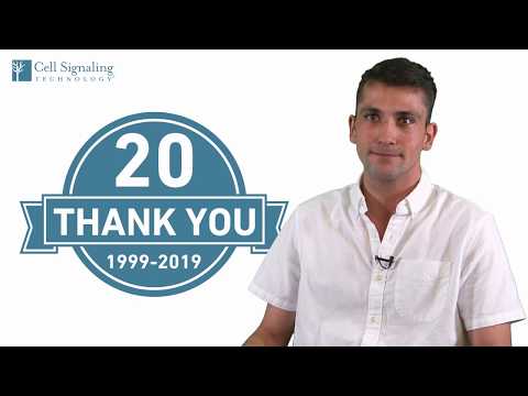 Why Roger Chooses CST Antibodies