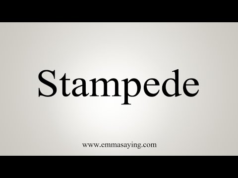 How To Say Stampede
