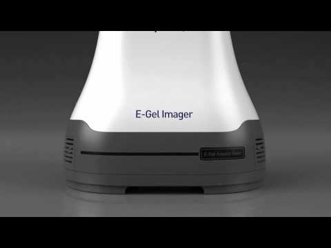 The new E-Gel® Imager: revolutionizing gel documentation