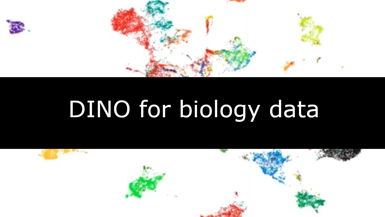 Exploring the human protein atlas with self-supervised learning