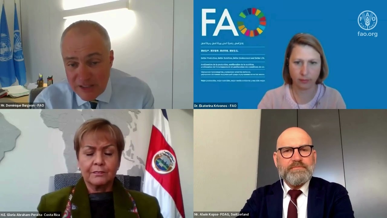 FAO in Geneva Agriculture Trade Talks: The role of trade in agrifood systems transformation