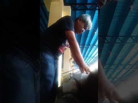 HEAVEN MASSAGE 948 ( PATRICK'S MASSAGE THERAPY )