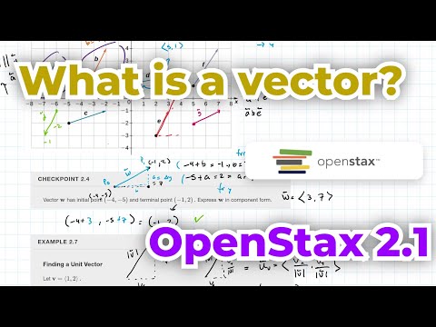 What ARE VECTORS? In-Depth Look for Students.