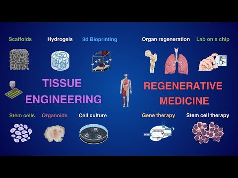 Tissue Engineering and Regenerative Medicine
