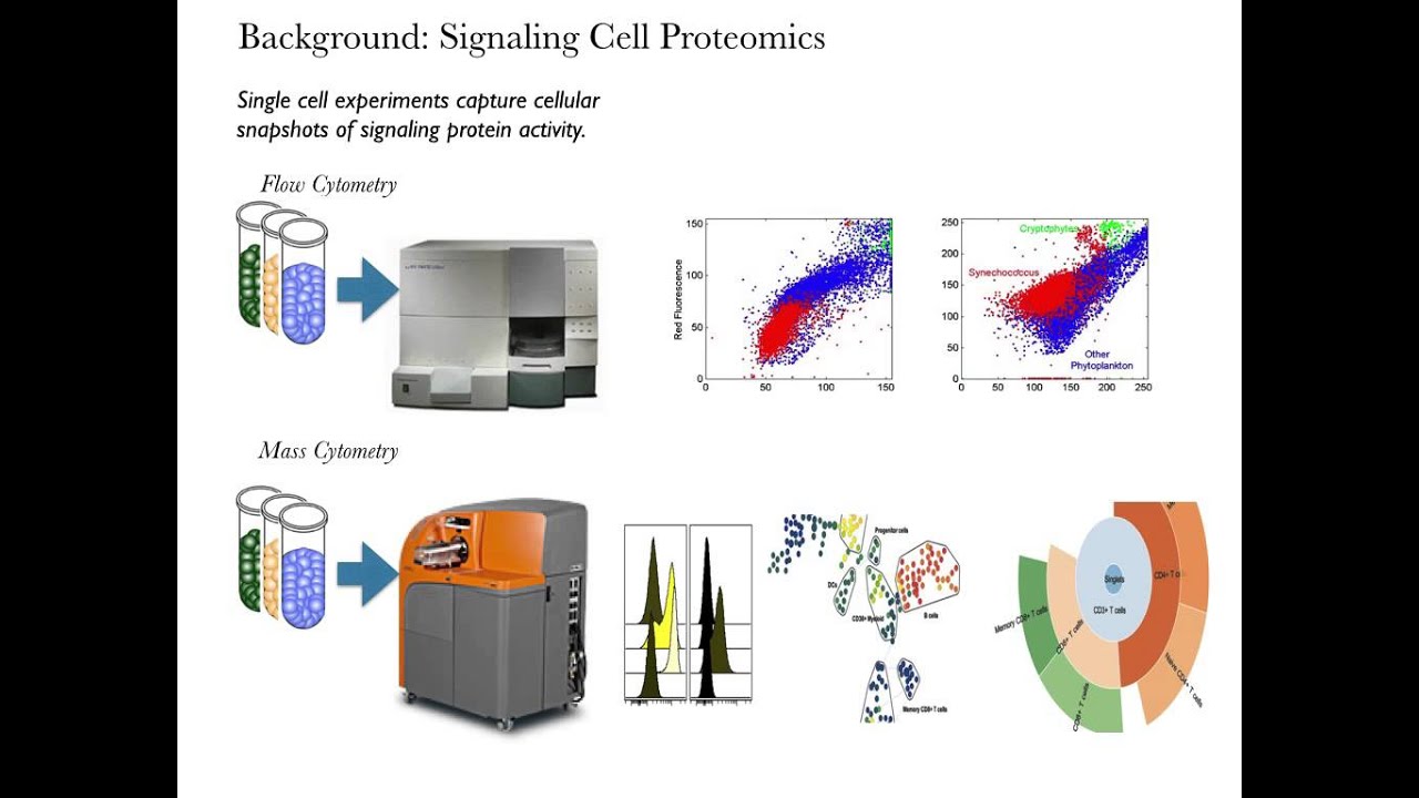 bioinformatics presentation intro