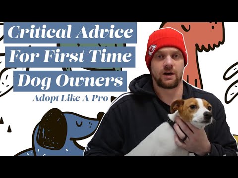Critical Advice For First Time Dog Owners: Adopt Like A Pro - Top Tips For First Time Dog Owners