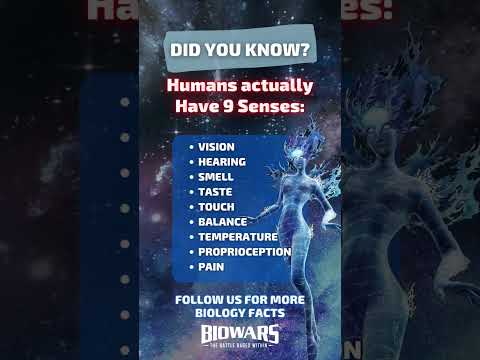 How Many Senses Do Humans Have? The Answer Might Surprise You! #facts #biology #HumanBody #BIOWARS
