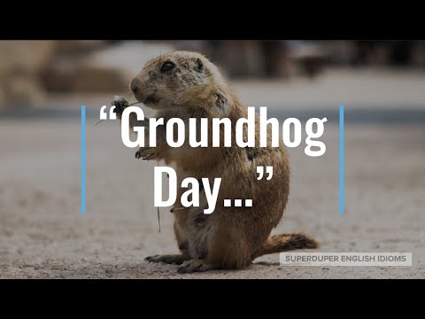 "Groundhog Day" Idiom Meaning, Origin & History | Superduper English Idioms