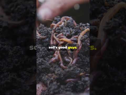 Can Biochar REVOLUTIONIZE Your Garden