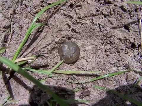 #24 Metal detecting a 1854-1875 General Service Military Button