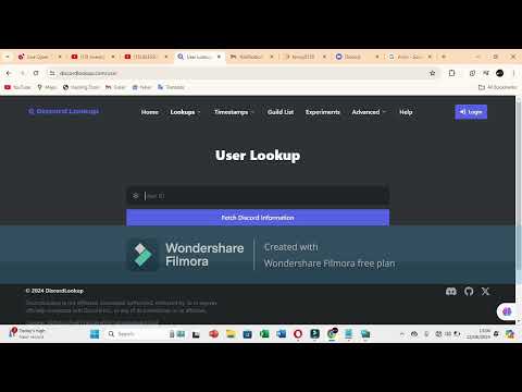Check Your Information With Discord Lookup