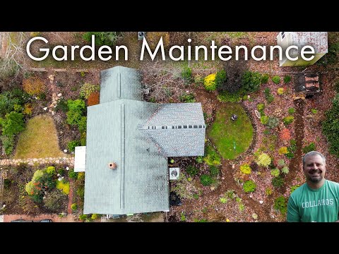 A Day in the Garden and Amaryllis Planting - Drone View