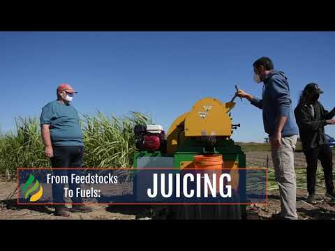 Feedstocks to Fuels